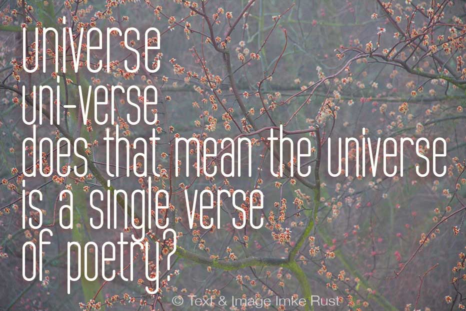 Understanding the Universe | Imke Rust